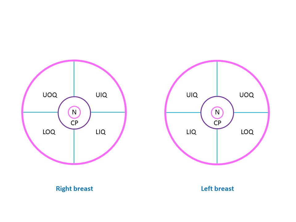 Atlas Of Breast Cancer Early Detection Atlas Of Breast Cancer Early Detection