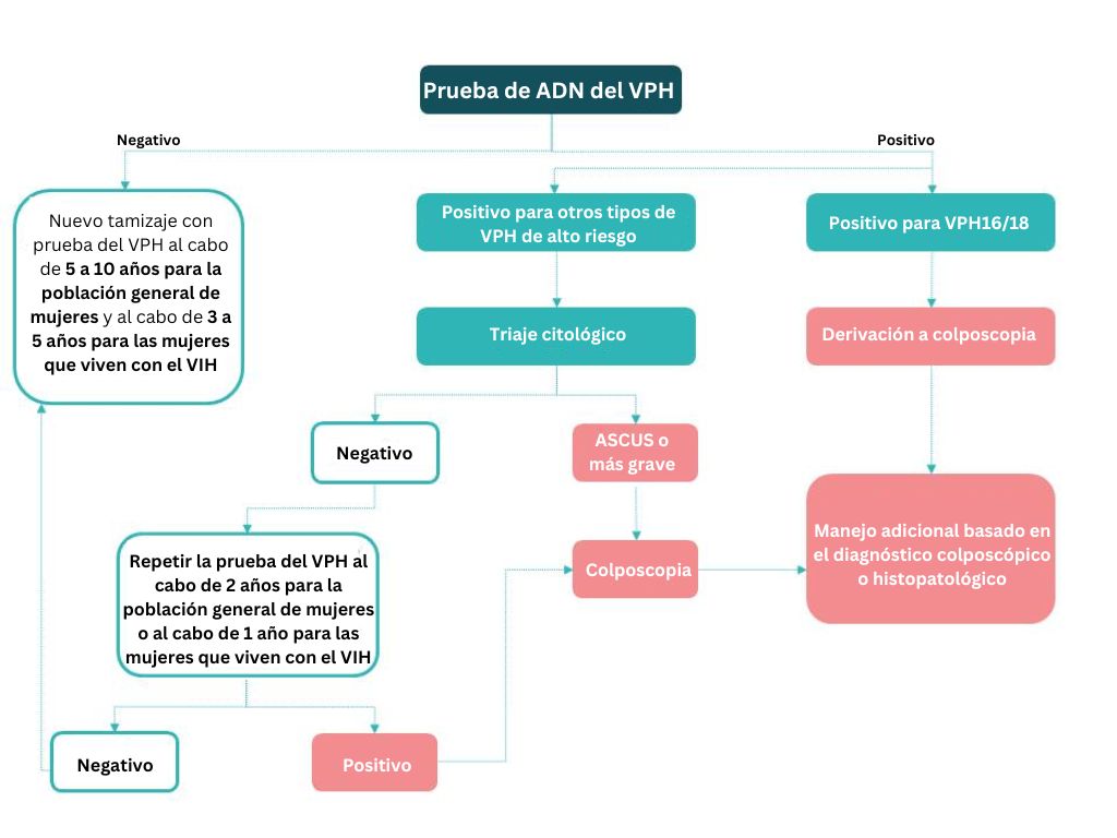 Uso de pruebas de VPH para el tamizaje del cáncer cervicouterino y el ...