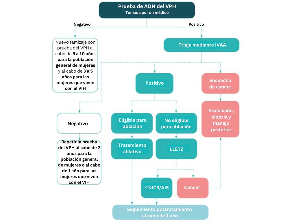 Uso de pruebas de VPH para el tamizaje del cáncer cervicouterino y el ...
