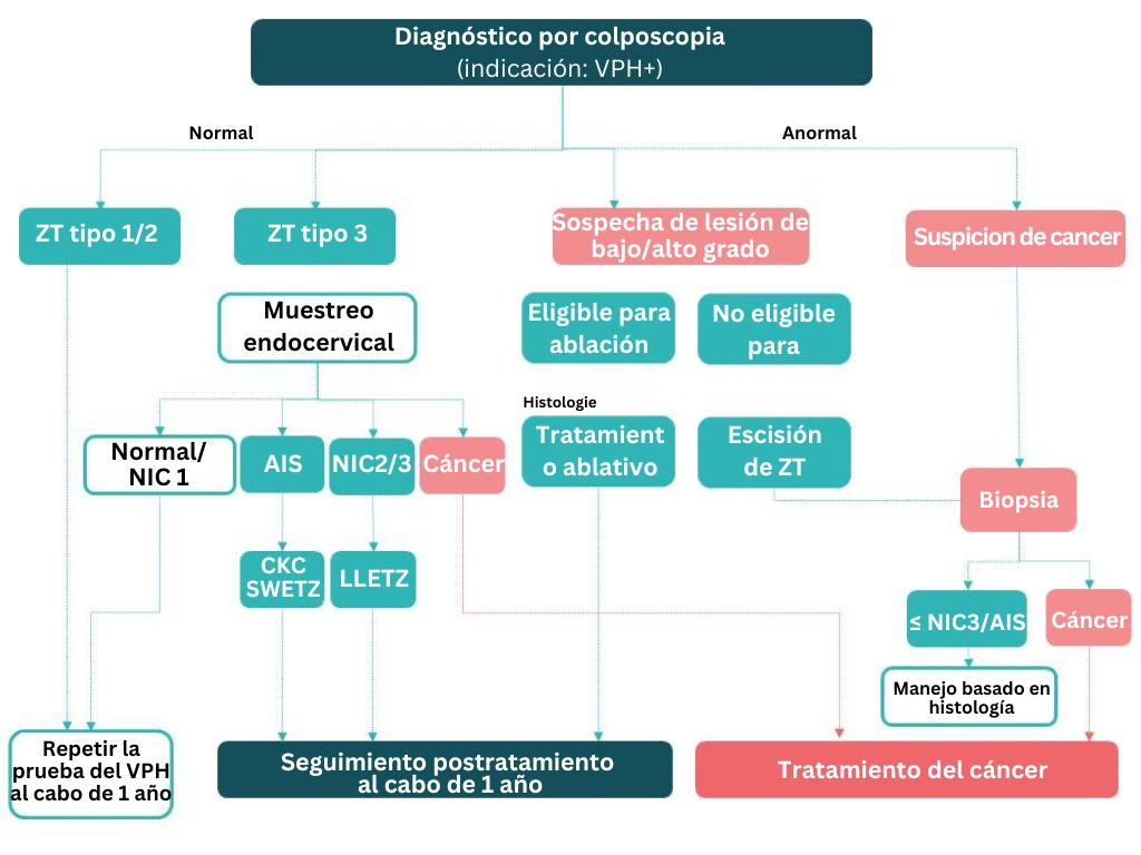 Uso de pruebas de VPH para el tamizaje del cáncer cervicouterino y el ...